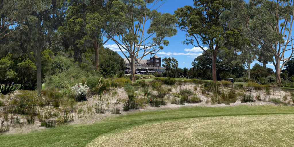 Before-after-RSGC-1B-2x | Championship Course Project